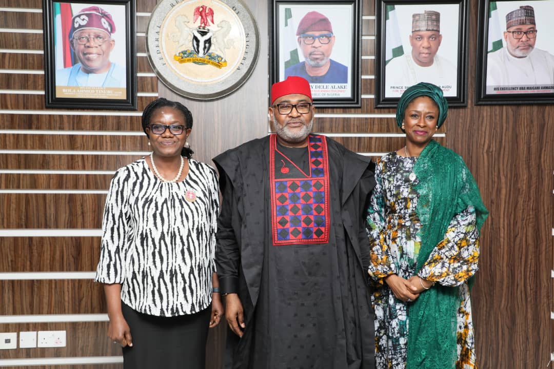 Nigerian Steel Development Ministry Partners With Stakeholders To ...